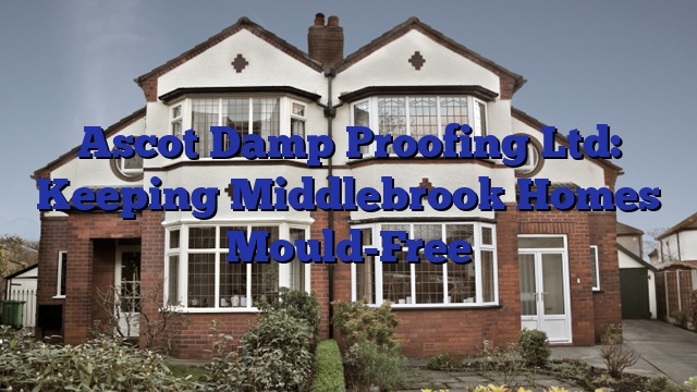 Ascot Damp Proofing Ltd: Keeping Middlebrook Homes Mould-Free | Ascot ...