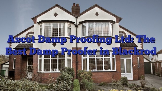 Ascot Damp Proofing Ltd: The Best Damp Proofer in Blackrod | Ascot Damp ...