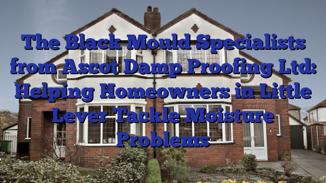 The Black Mould Specialists from Ascot Damp Proofing Ltd: Helping ...