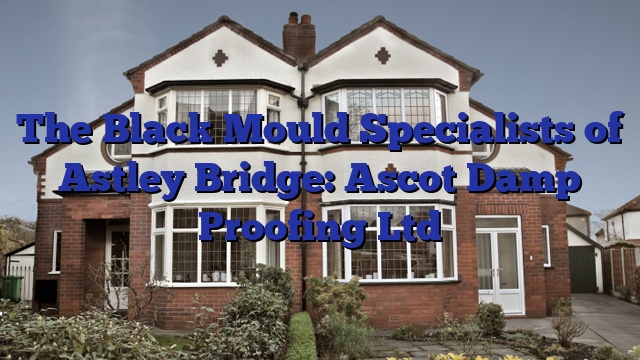 The Black Mould Specialists of Astley Bridge: Ascot Damp Proofing Ltd ...
