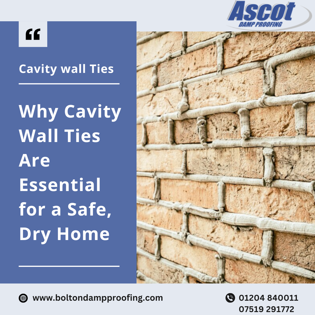 Why Cavity Wall Ties Are Essential for a Safe, Dry HomeAscot Damp ...